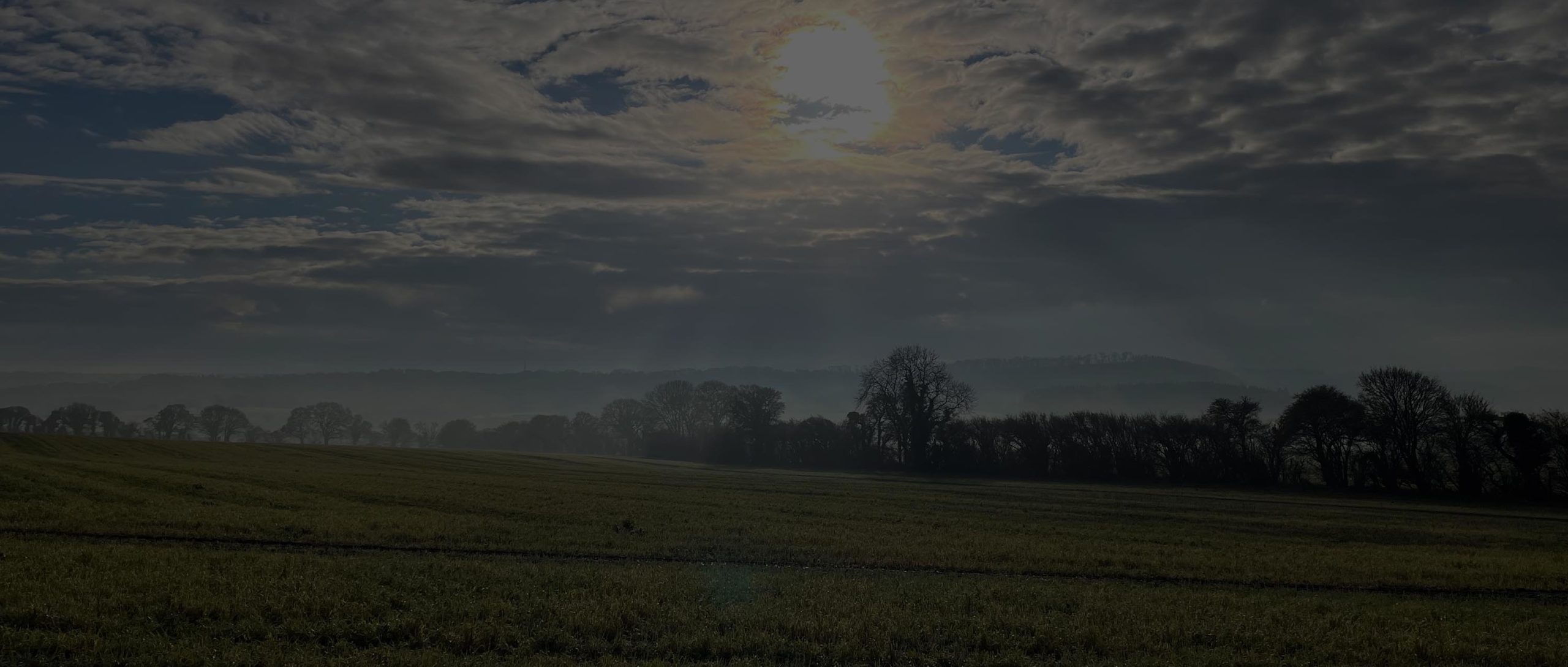 Chilmark Consulting | Chilmark Consulting